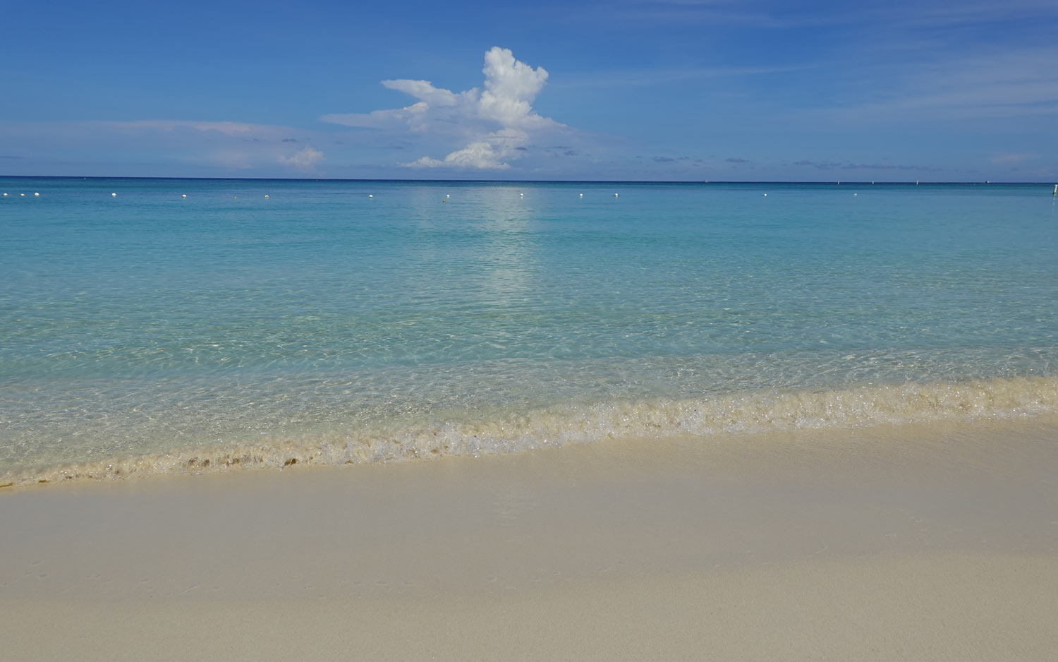 About Roatan Buddy Tours - Roatan Buddy Tours